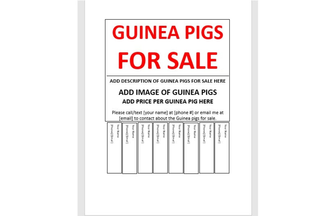 Editable Guinea Pigs for Sale Tear-off Flyer, Tear-off Flyer Template ...