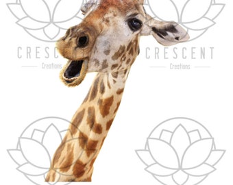 Hey You Guys Png Digital Download for Sublimation - Etsy