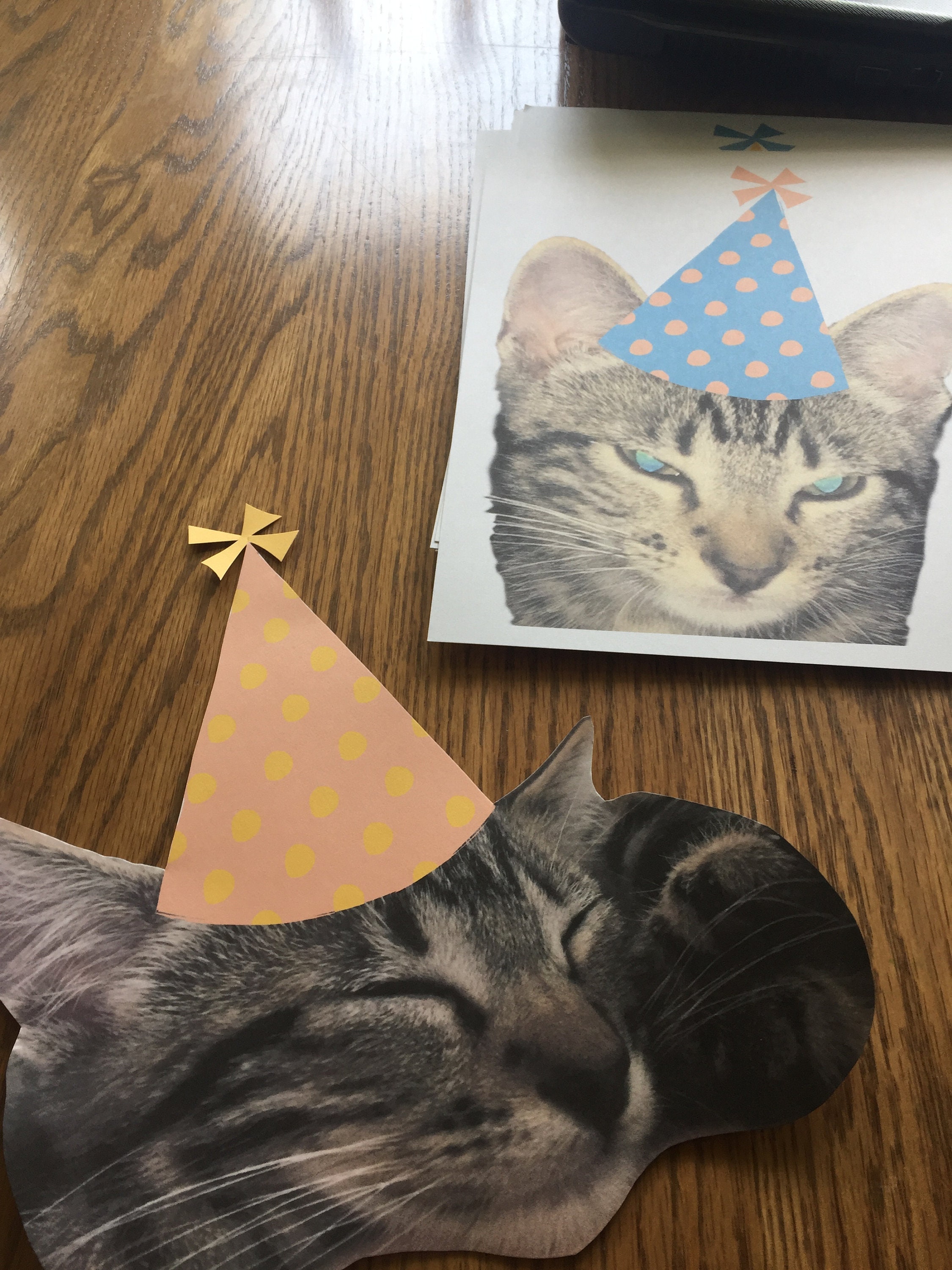 Customizable Happy Birthday Cat Banner Printable Digital Download - Etsy