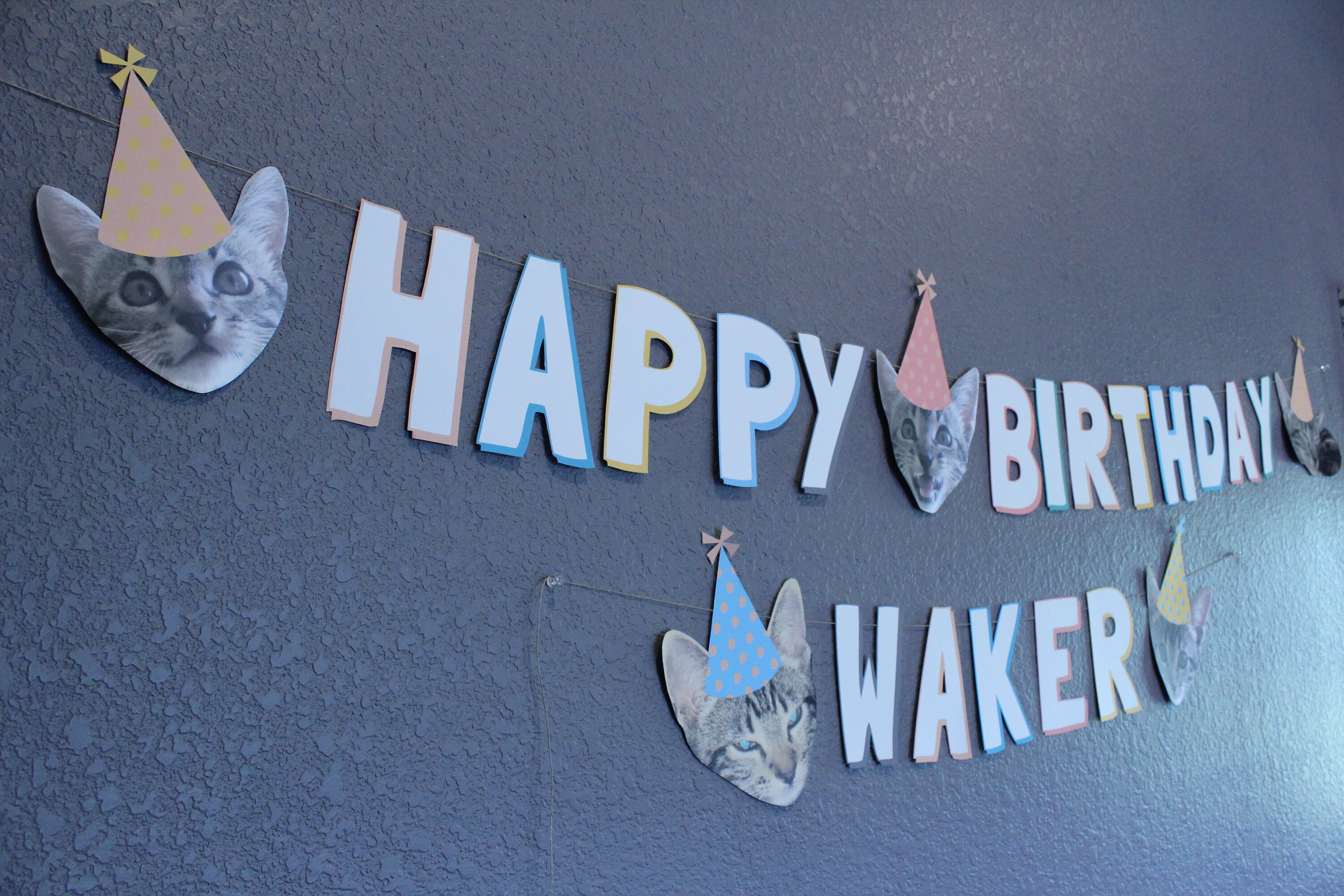 Customizable Happy Birthday Cat Banner Printable Digital Download - Etsy
