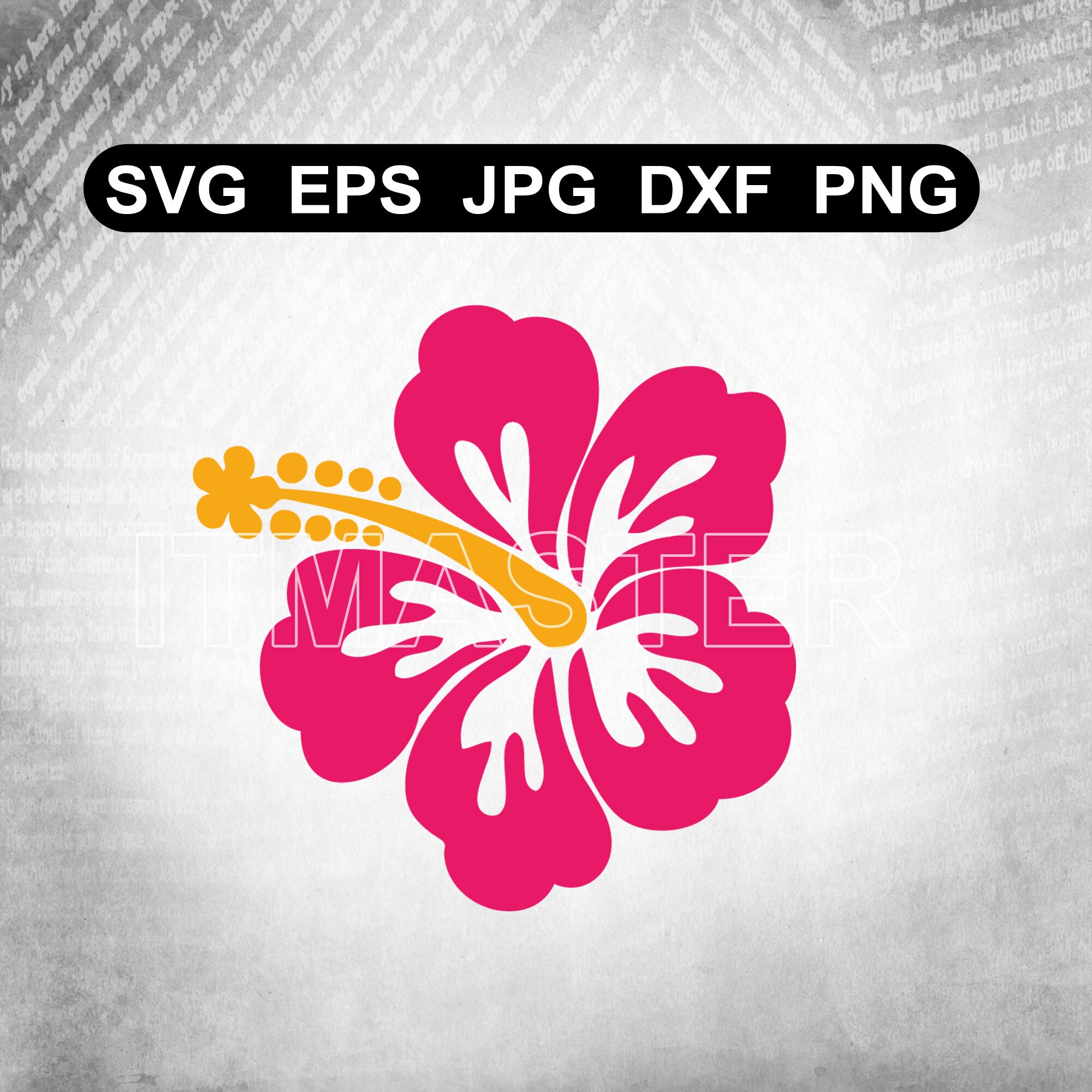 HIBISCUS Hawaii flower template layered file Svg Dxf Jpg | Etsy