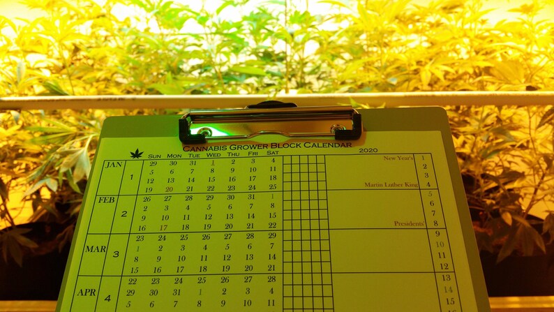 Cannabis Grower Block Calendar 2020-2022 Three Block | Etsy