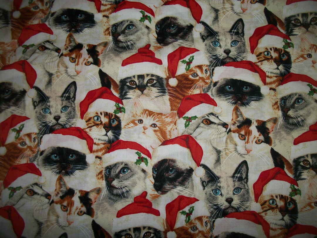 Christmas Cats FAT QUARTER Wearing Santa Hats Ginger Siamese Himalayan ...