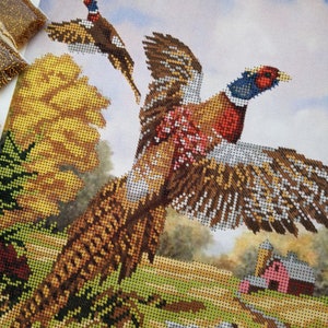Pheasant Bead Embroidery DIY Kit Complete Embroidery Set With Canvas ...