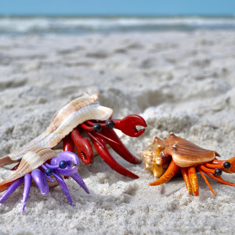 Shell Animals - Etsy