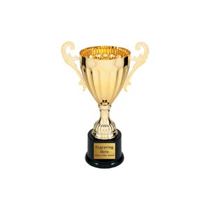 Personalized Victory Cup Trophy: Gold or Silver Engraved Award - Etsy