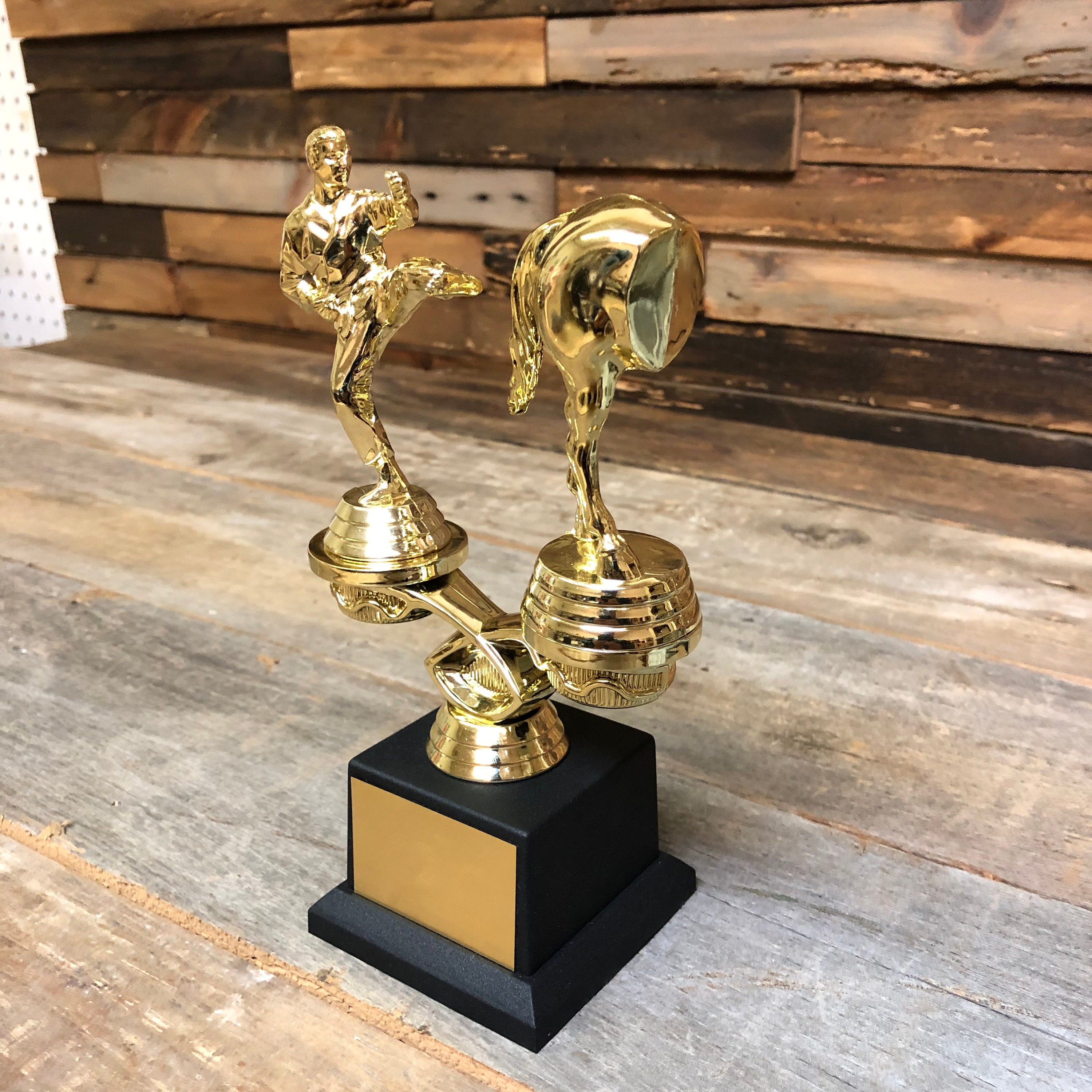 Kick Ass Trophy Horse Ass Trophy Karate Kicks Ass - Etsy Australia
