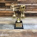 Kick Ass Trophy Horse Ass Trophy Karate Kicks Ass - Etsy
