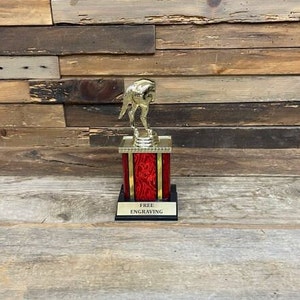 Asshole Award - Etsy