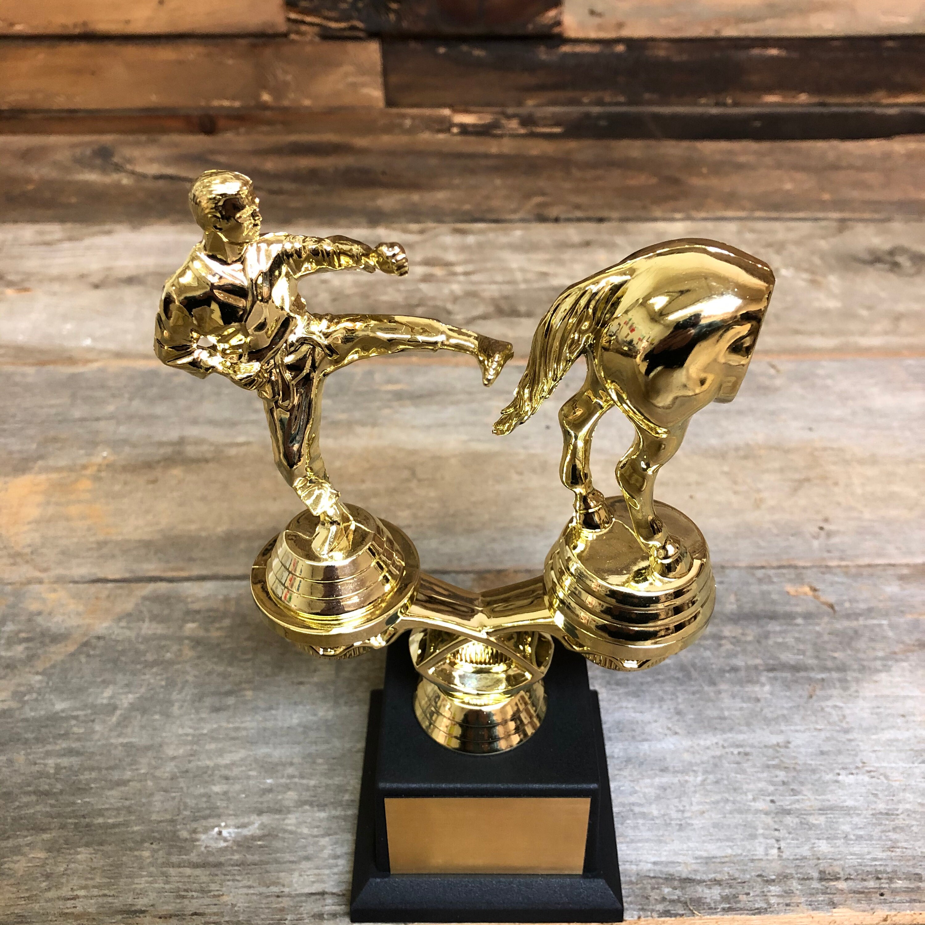 Kick Ass Trophy Horse Ass Trophy Karate Kicks Ass - Etsy UK