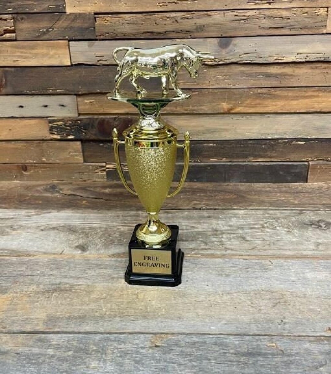 Bull Trophy Award - 13 Inch Gag Gift - Etsy UK
