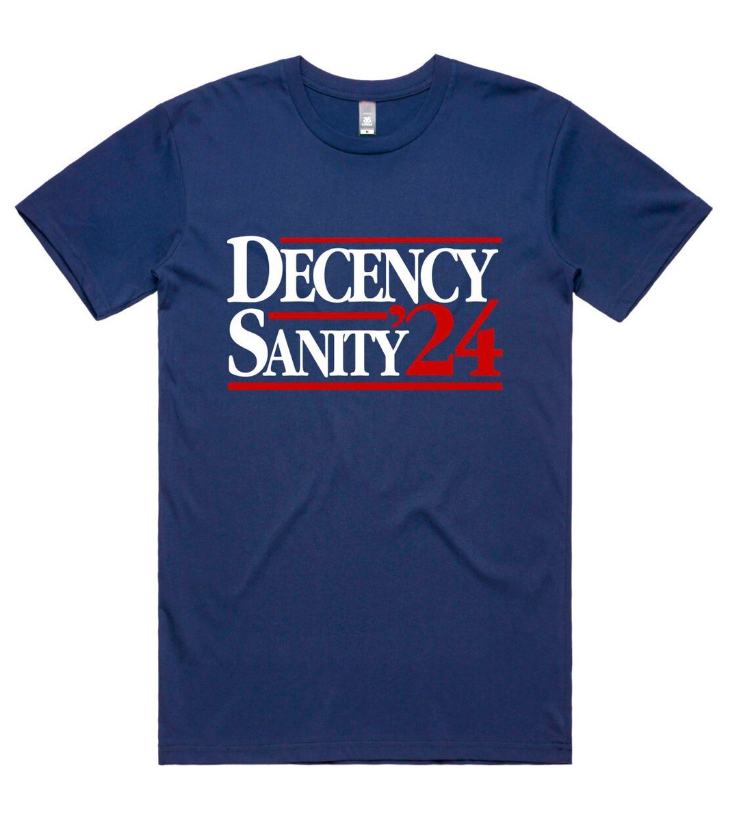 Decency Sanity T-shirt Pro-choice T-shirt Presidential Election Vote ...