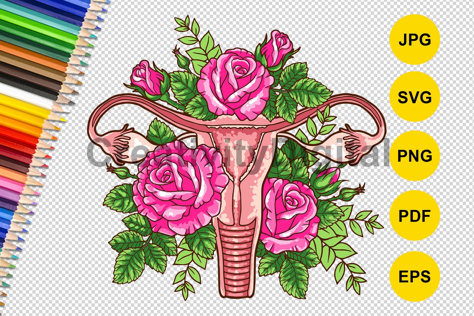 Floral Uterus SVG, Floral Vagina. My Vagina is Beautiful. Female ...