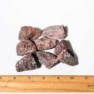 Leopard Skin Jasper Rough Rocks I Raw Crystals for Tumbling I ...