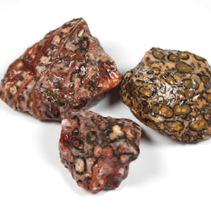Leopard Skin Jasper Rough Rocks I Raw Crystals for Tumbling I ...
