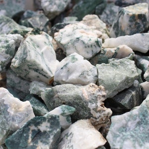 Tree Agate I Rough Rocks for Tumbling I Size: 1" - 2" I 1 LB Bulk Raw ...
