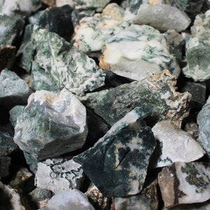 Tree Agate I Rough Rocks for Tumbling I Size: 1" - 2" I 1 LB Bulk Raw ...