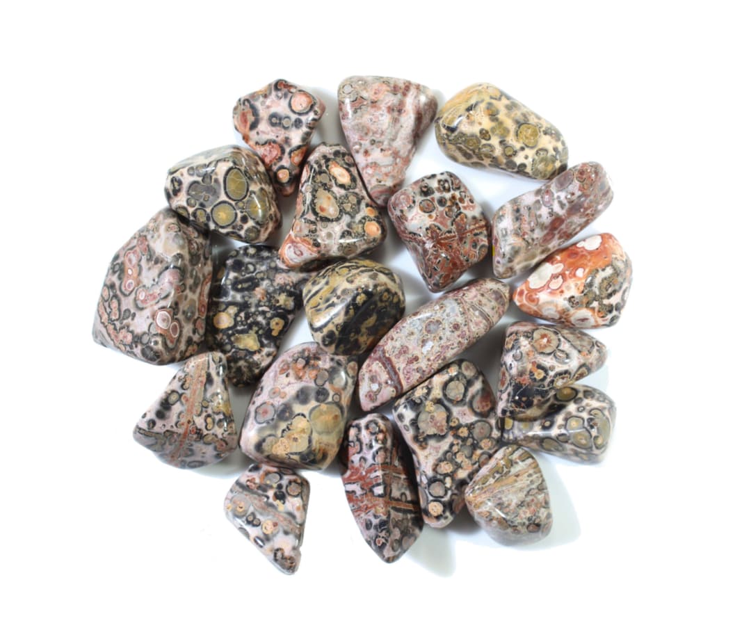Leopard Skin Jasper Tumbled Gemstones-leopardite Polished Gemstones ...