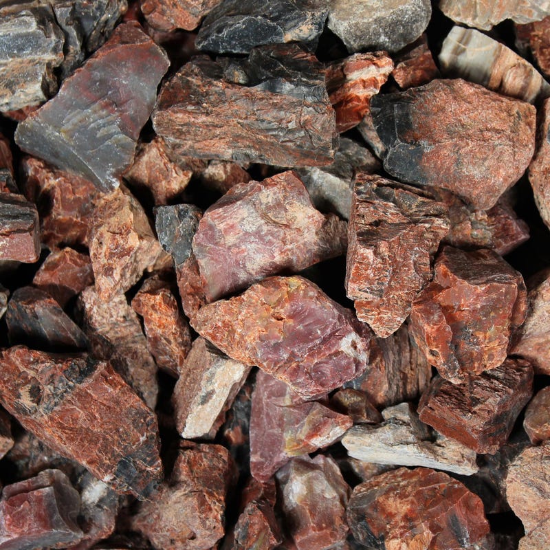 Petrified Wood - Etsy