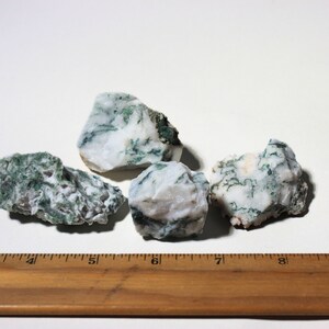Tree Agate I Rough Rocks for Tumbling I Size: 1" - 2" I 1 LB Bulk Raw ...