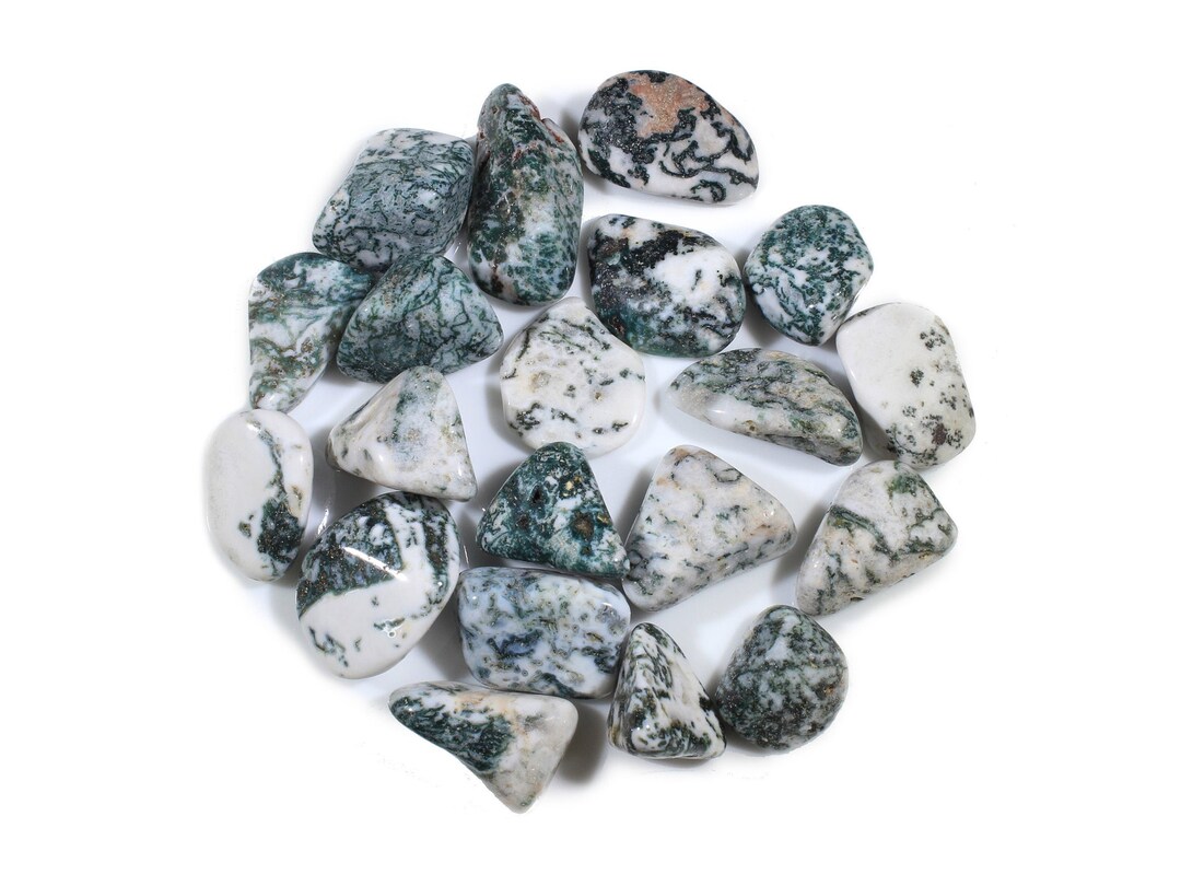 Tree Agate Tumbled Stones-tree Agate Gemstones-polished Gemstones-bulk ...