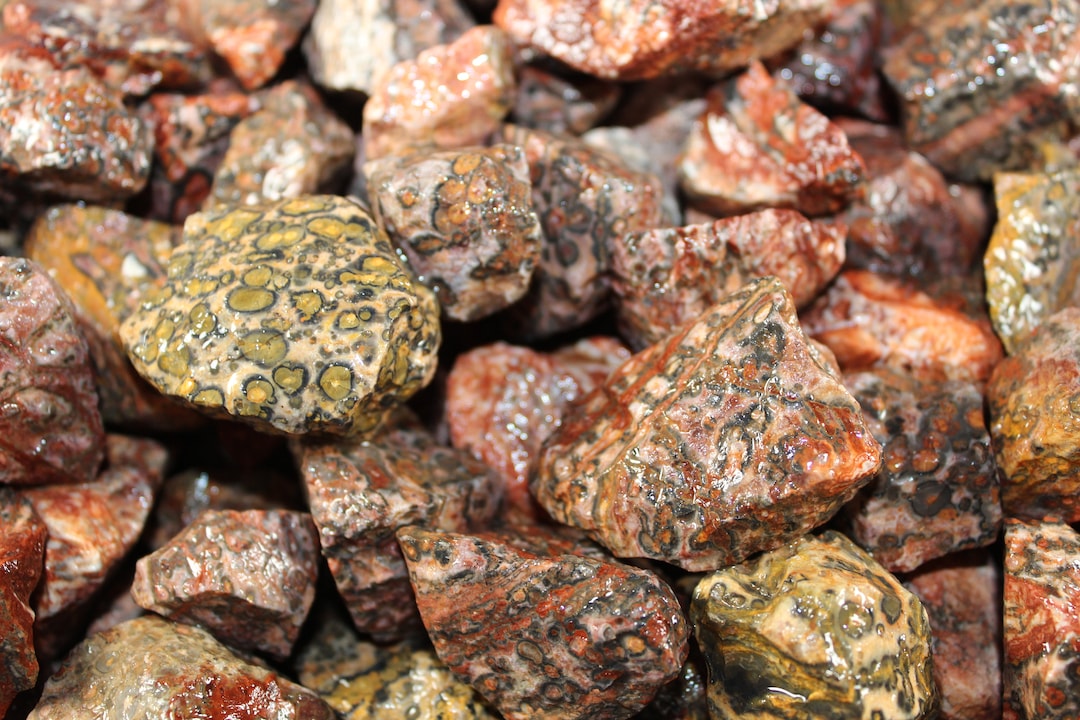 Leopard Skin Jasper Rough Rocks I Raw Crystals for Tumbling I ...