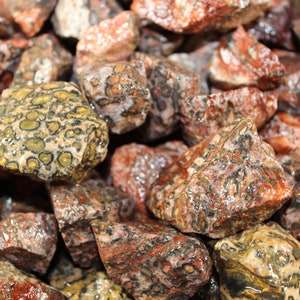 Leopard Skin Jasper Rough Rocks I Raw Crystals for Tumbling I ...