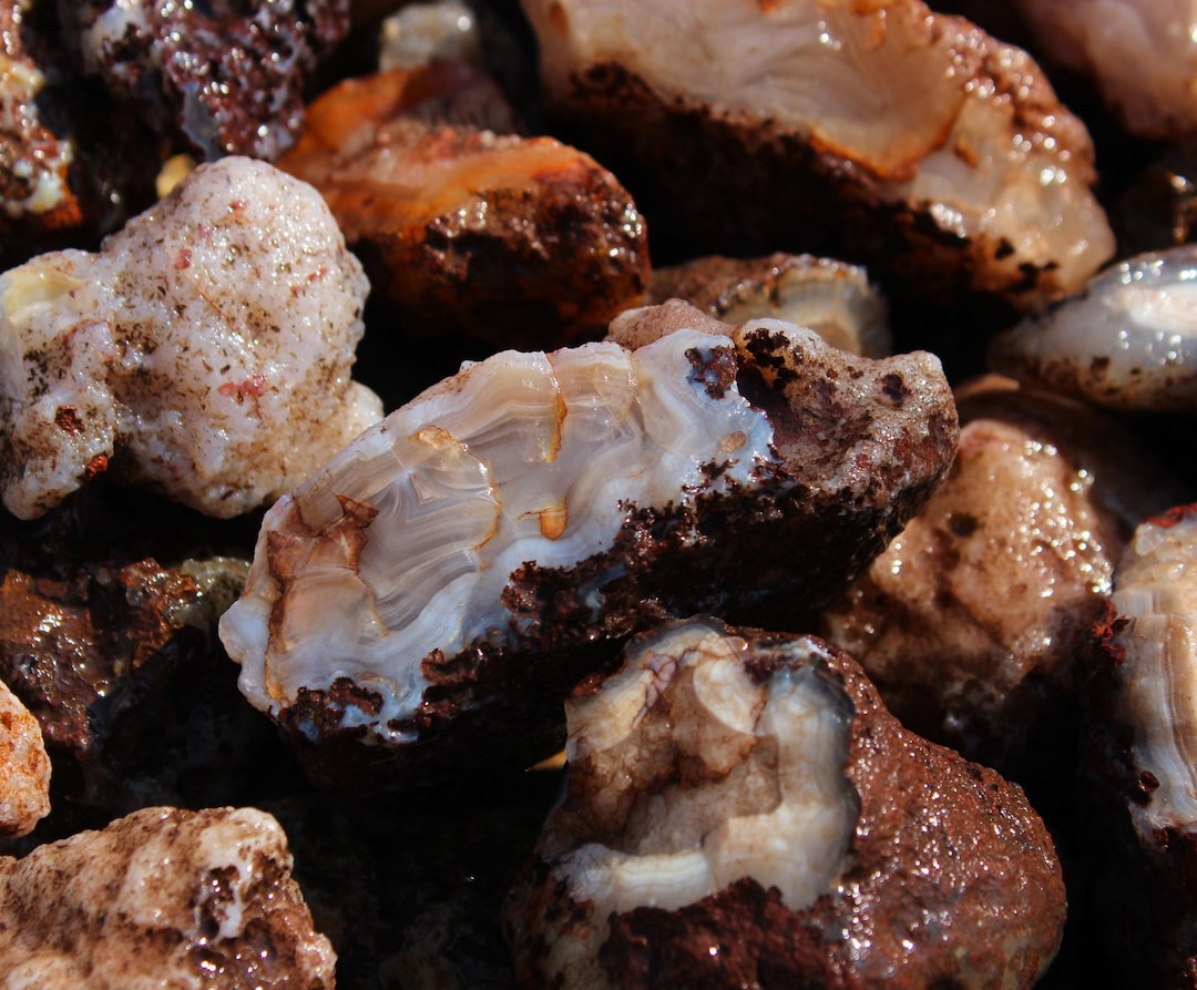 Calandria Agate Nodules | Lapidary, Slabbing and Cutting Rough Rock ...