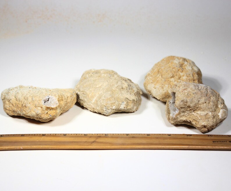 Break Your Own Geode | Sugar Geode Unbroken Crystals | 1.5" - 4 ...