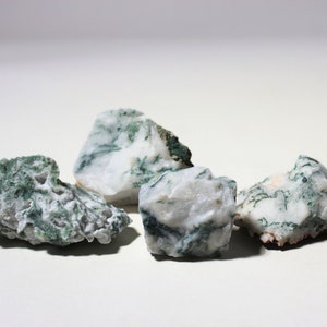 Tree Agate I Rough Rocks for Tumbling I Size: 1" - 2" I 1 LB Bulk Raw ...