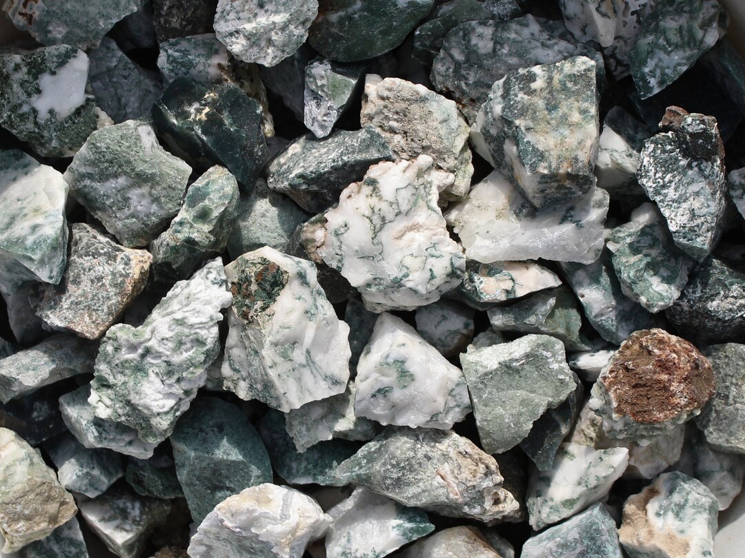 Tree Agate I Rough Rocks for Tumbling I Size: 1" - 2" I 1 LB Bulk Raw ...