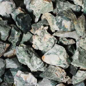 Tree Agate I Rough Rocks for Tumbling I Size: 1" - 2" I 1 LB Bulk Raw ...