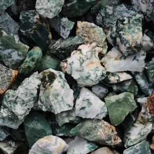 Tree Agate I Rough Rocks for Tumbling I Size: 1" - 2" I 1 LB Bulk Raw ...