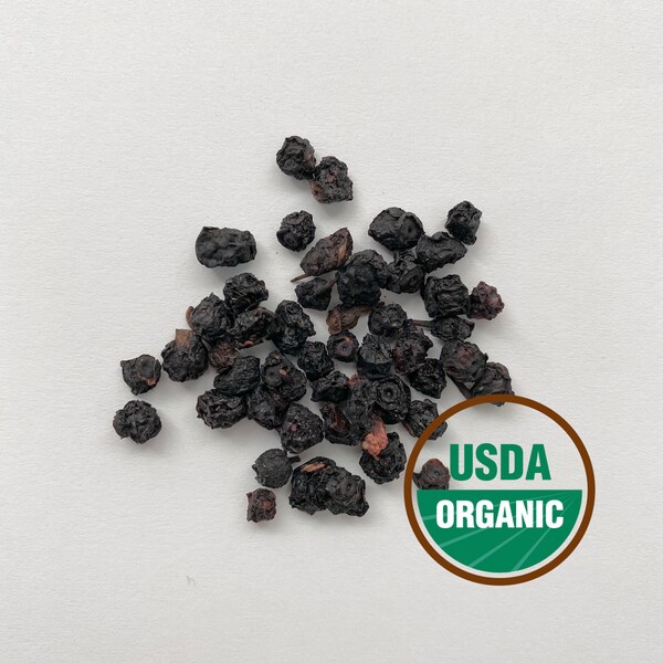 Bilberry Plant - Etsy