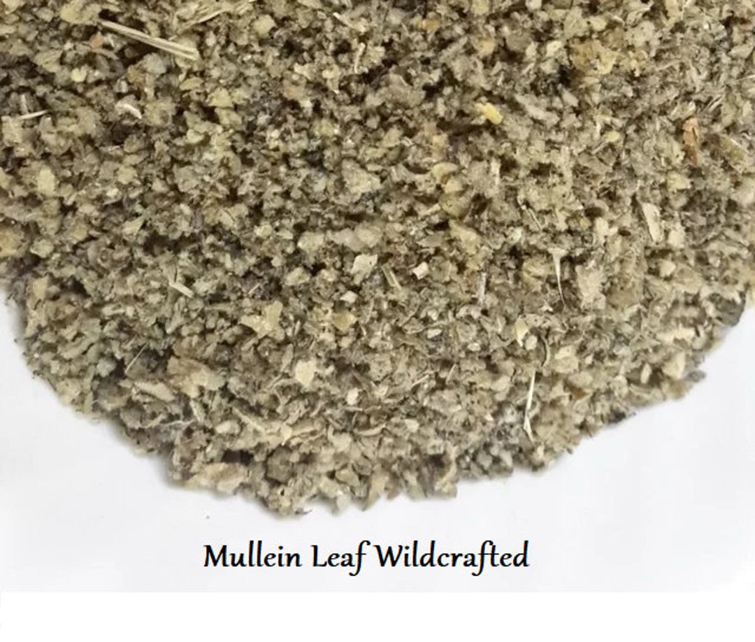 Mullein Leaf | BULK | 1LB | Wildcrafted | Cut & Sifted - Etsy