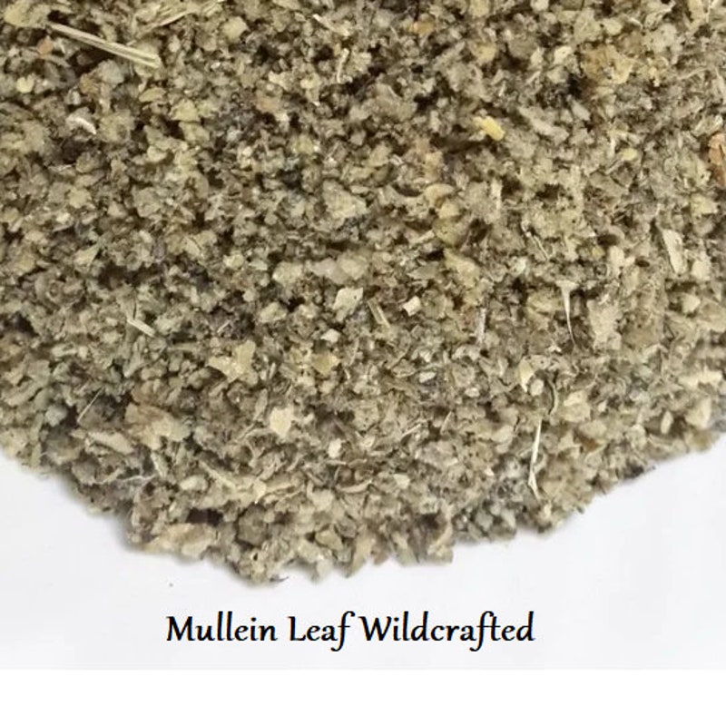 Mullein Plant - Etsy