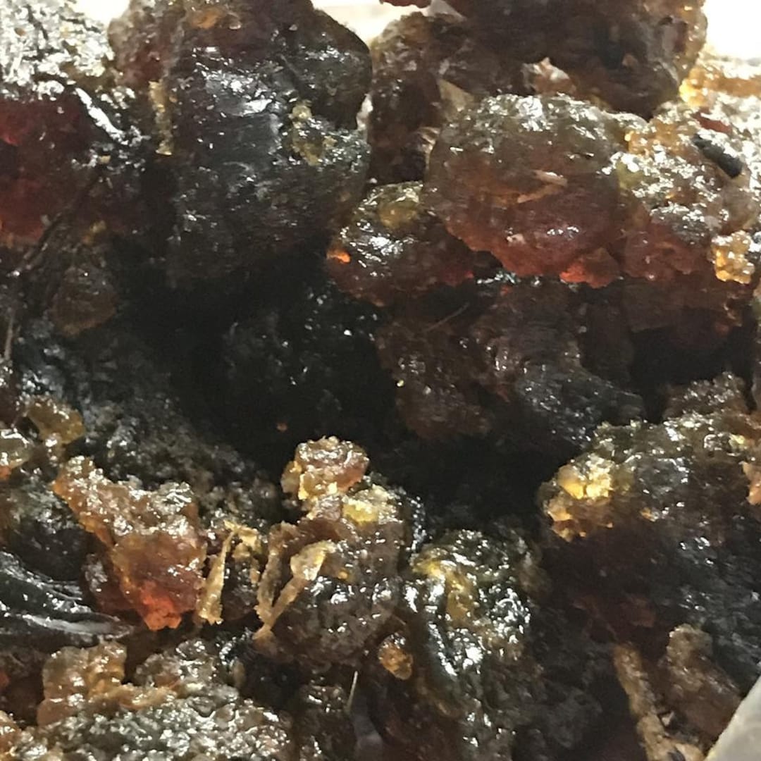 Guggul Gum Resin India Superior Quality 0.5 Oz Commiphora Wightii ...