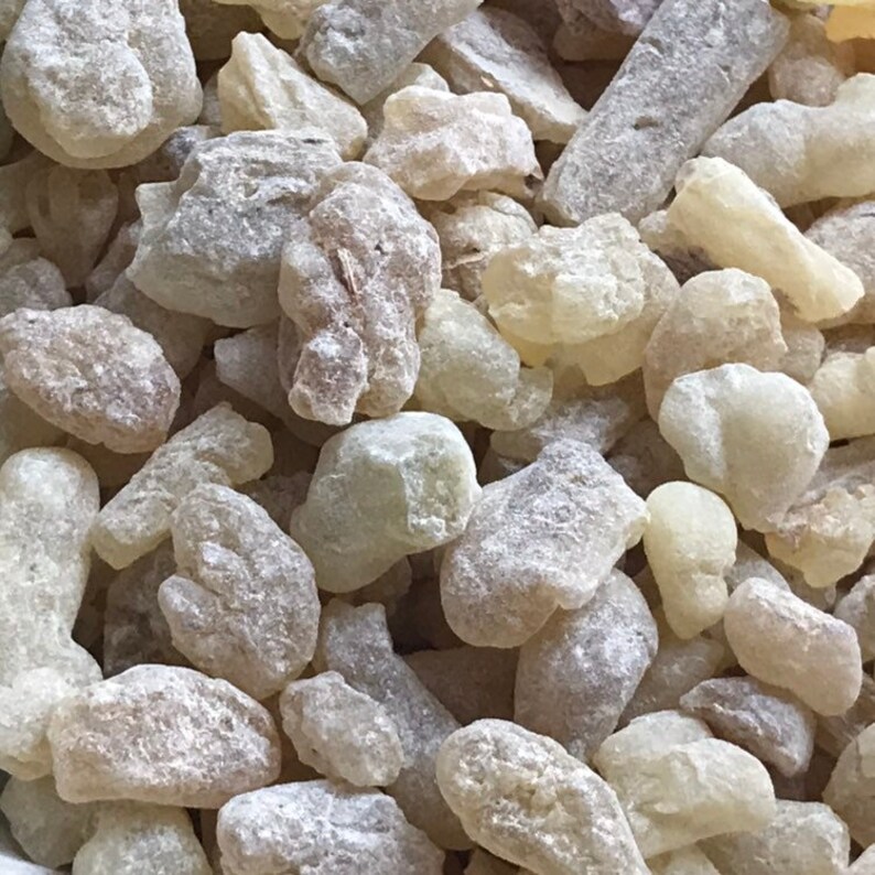 Indian Frankincense Tears Resin 0.5 oz Boswellia serrata | Etsy