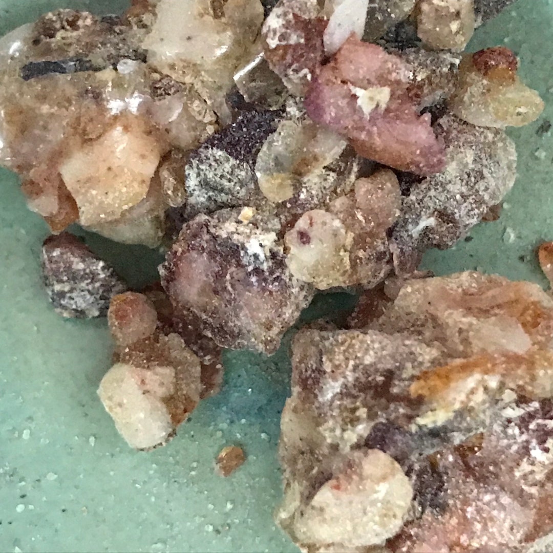 Pinon Piñon Pine Terpene Pitch | Pinyon Pine Resin | 0.5 Oz | Incense ...