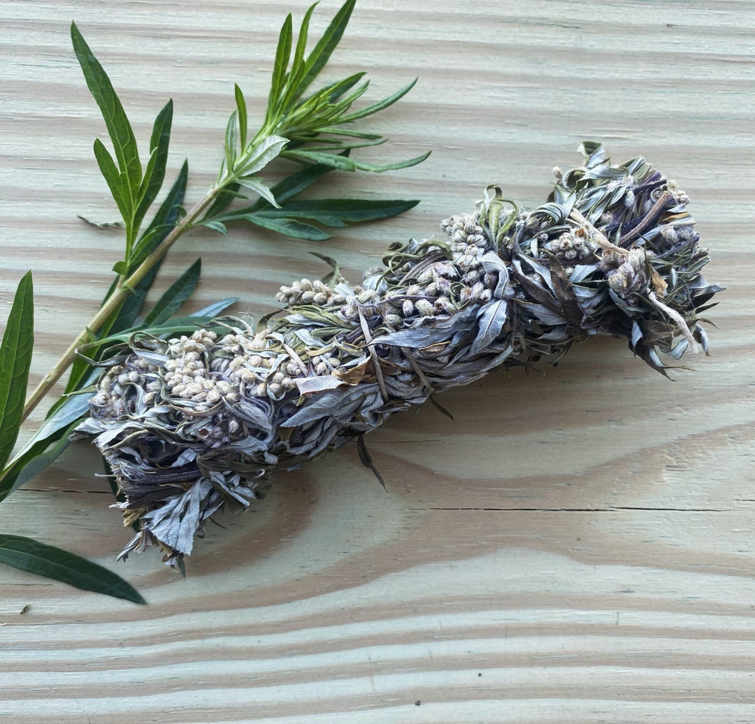 Mugwort Black Sage Smudge Dream Weed Magical Sage | Artemisia Vulgaris ...