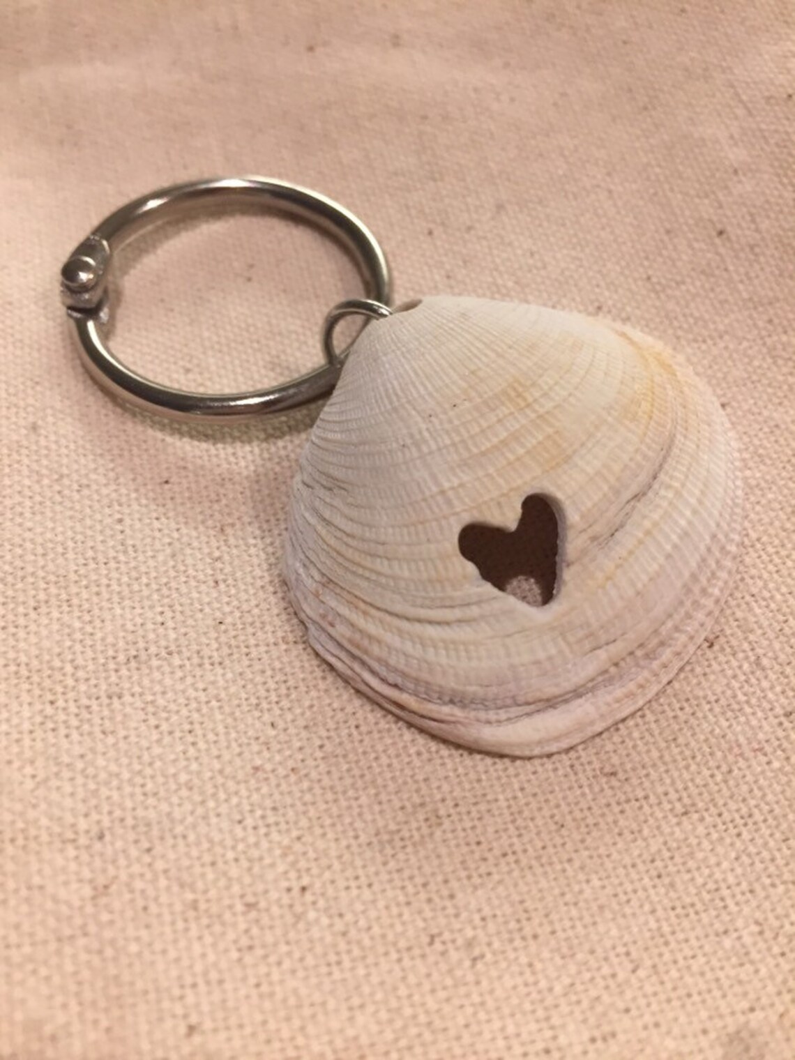 Heart Cutout Seashell Keychain - Etsy
