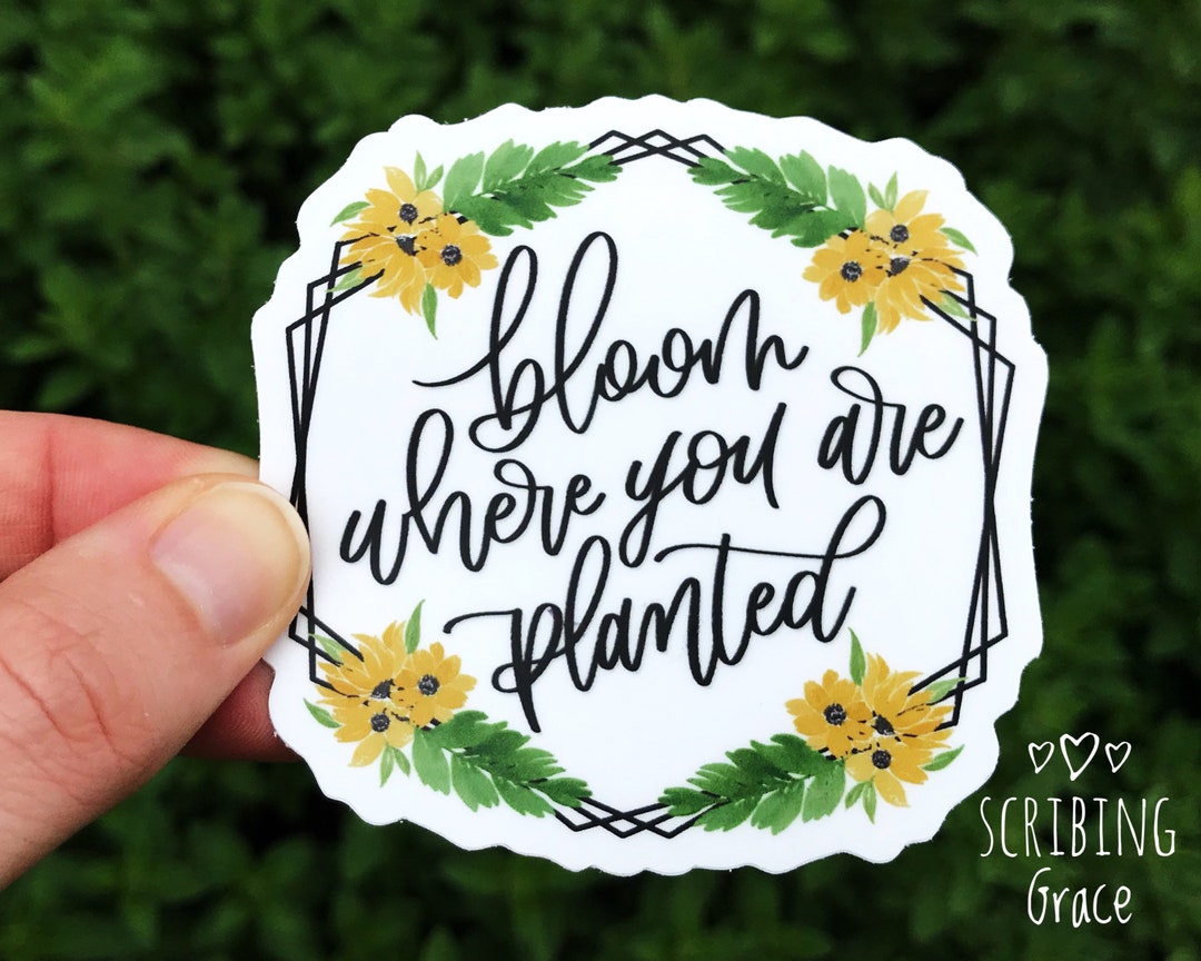Bloom Vinyl Sticker | Bloom Where You Are Planted Decal | Floral ...