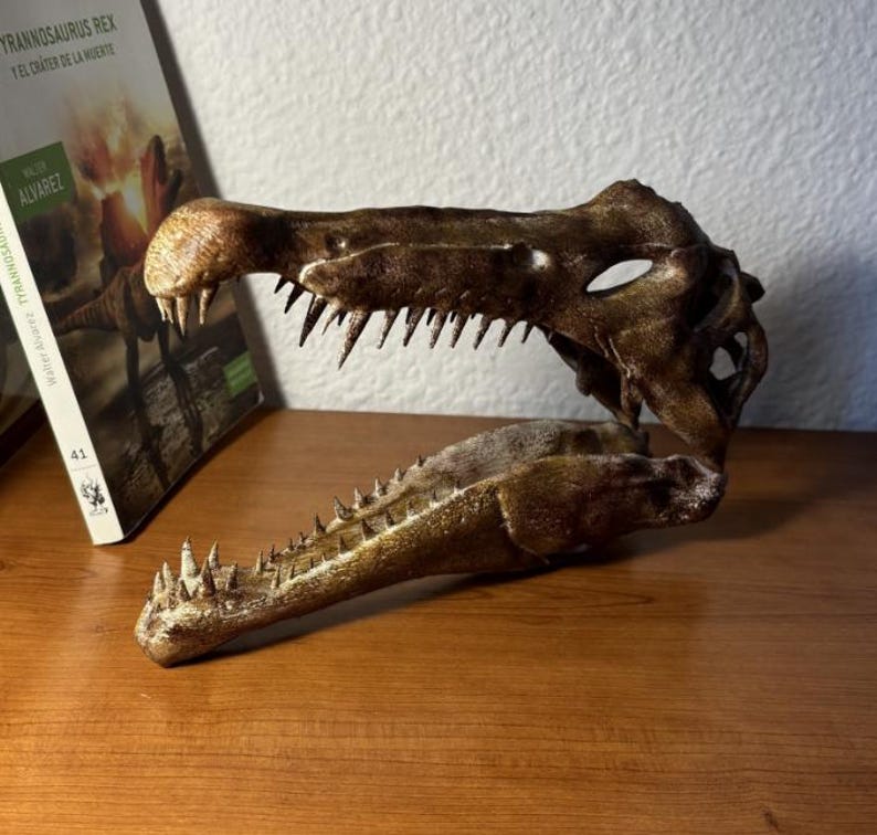 3D Printed Spinosaurus Dinosaur Skull Model - 1750mm White PLA - Etsy