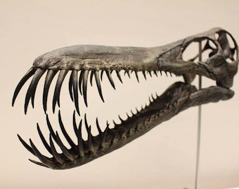 3d Printed Pteranodon Flying Reptile Pterosaur Skeleton Model - Etsy