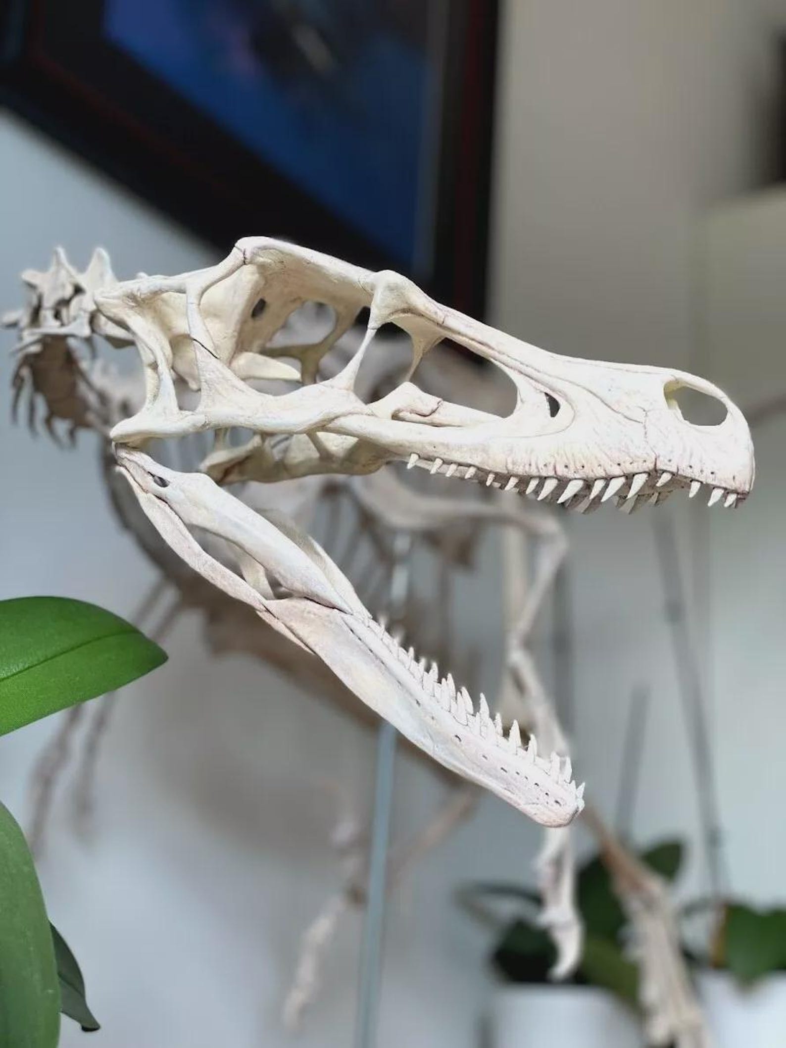 3D Printed Velociraptor Skeleton Model Dinosaur 1:1 Life Size Replica ...