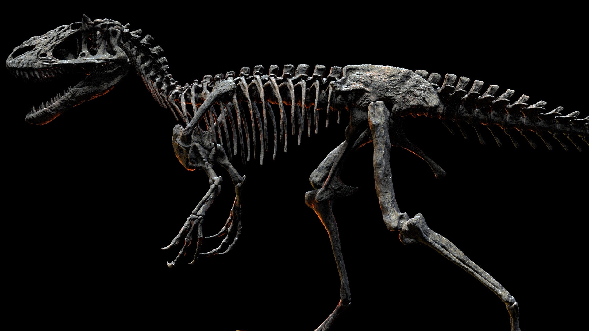 Yutyrannus Skeleton Yutyrannus Huali Hi Res Stock Photography And
