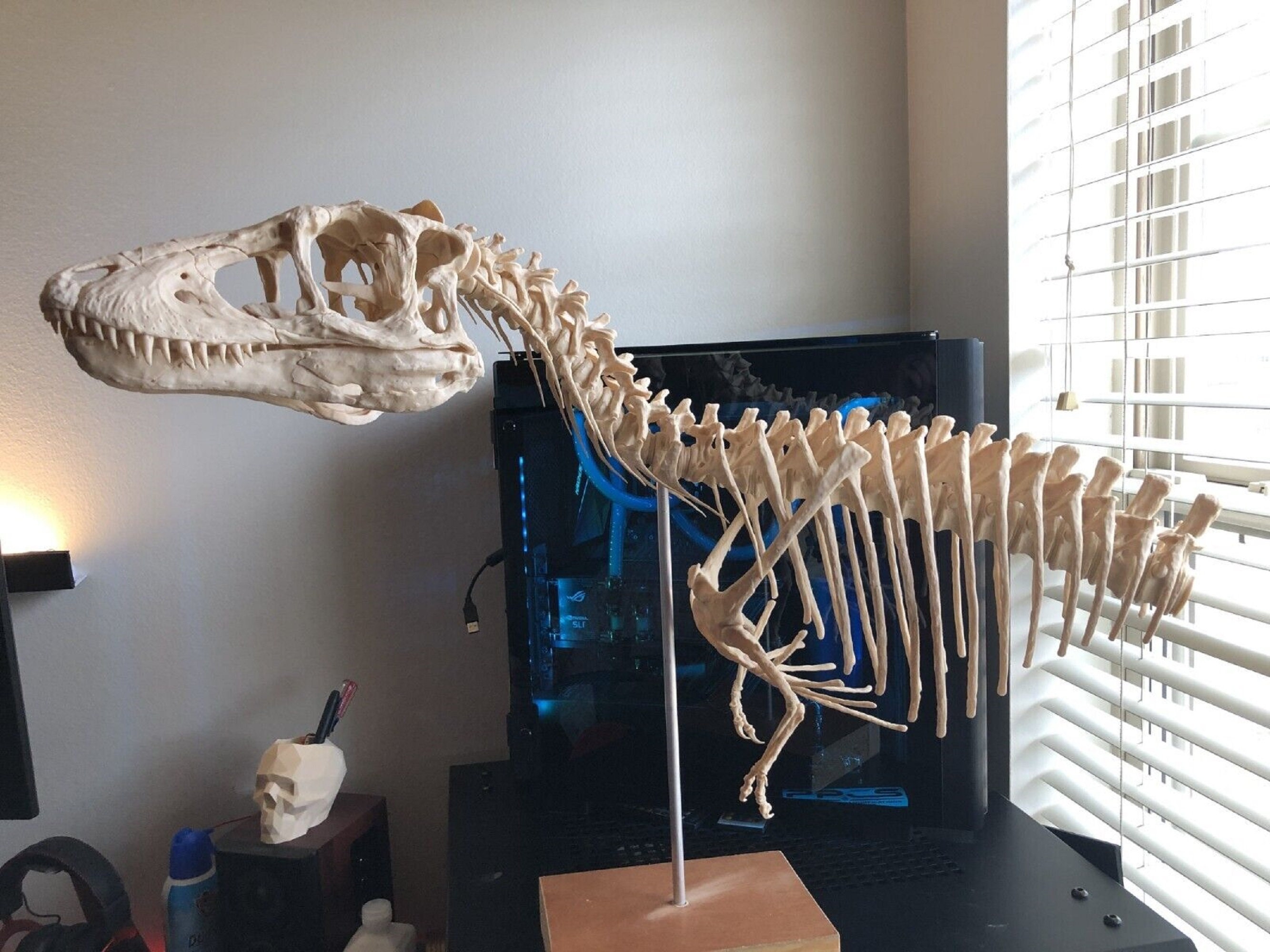 3d Printed T-REX, Tyrannosaurus Rex Baby Skeleton Model Dinosaur 1:1 - Etsy