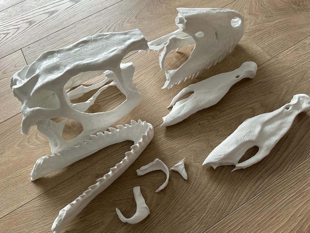 3d Printed Utahraptor Dinosaur Skull Head Skull Model Dinosaur 1:1 - Etsy