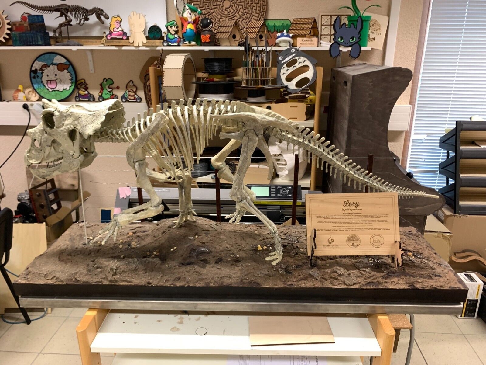 3d Printed Triceratops Horridus Baby Skeleton Model Dinosaur 1:1 - Etsy