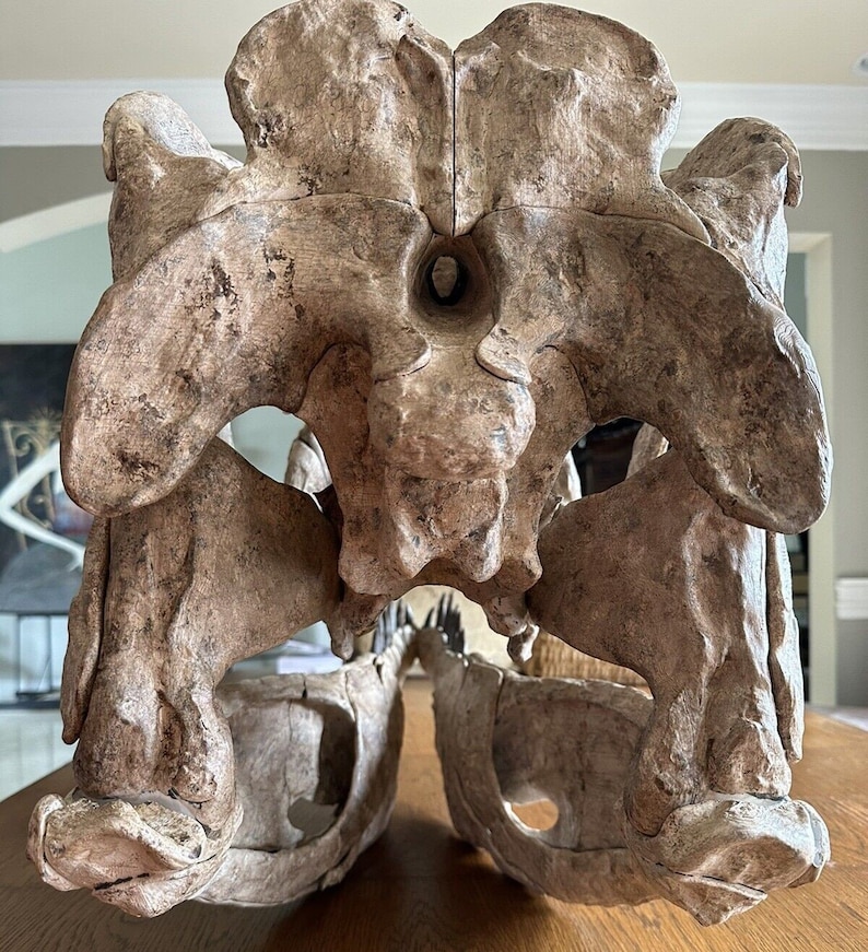 3d Printed Allosaurus Head Skull Skeleton Dinosaur, Painted and ...